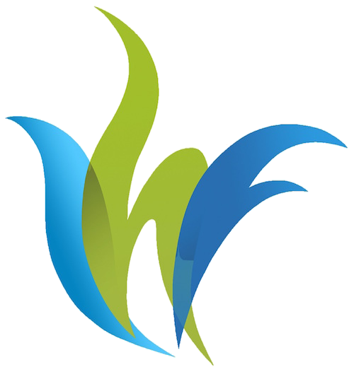 Join the IHF Global Leadership Development Program – Ambrose University