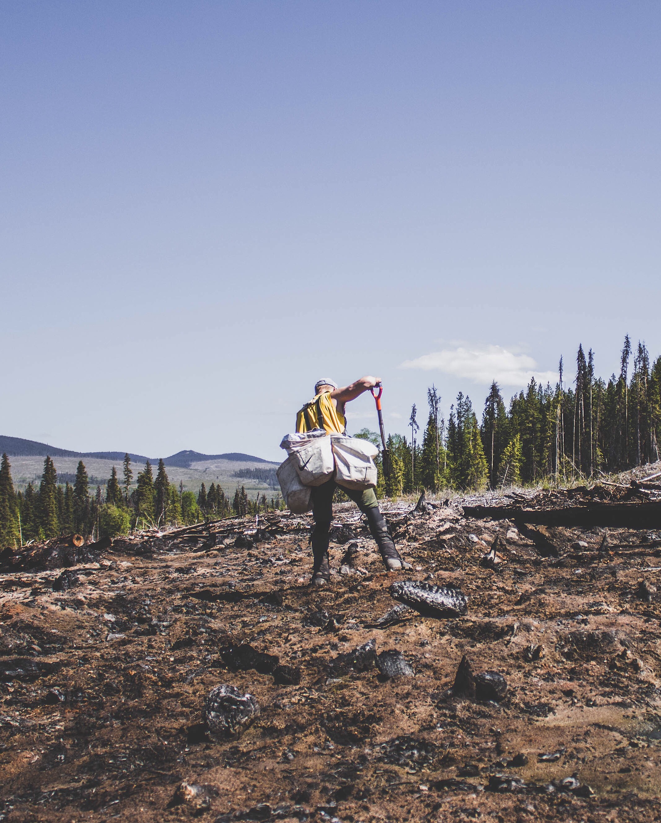 Tree-Planting (Folklore Contracting Ltd.) – Ambrose University